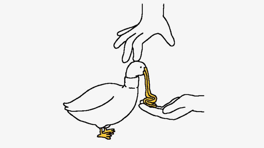 Master Tingus - Picto | Conference