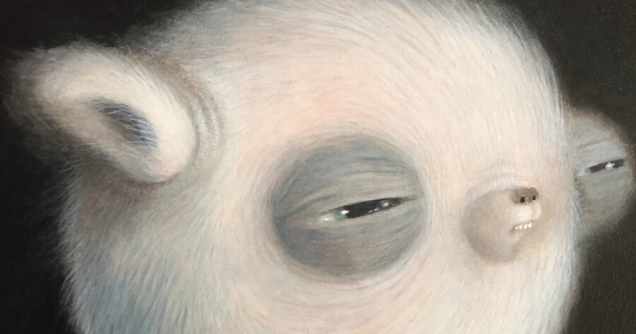 Renee French - Picto | Conference